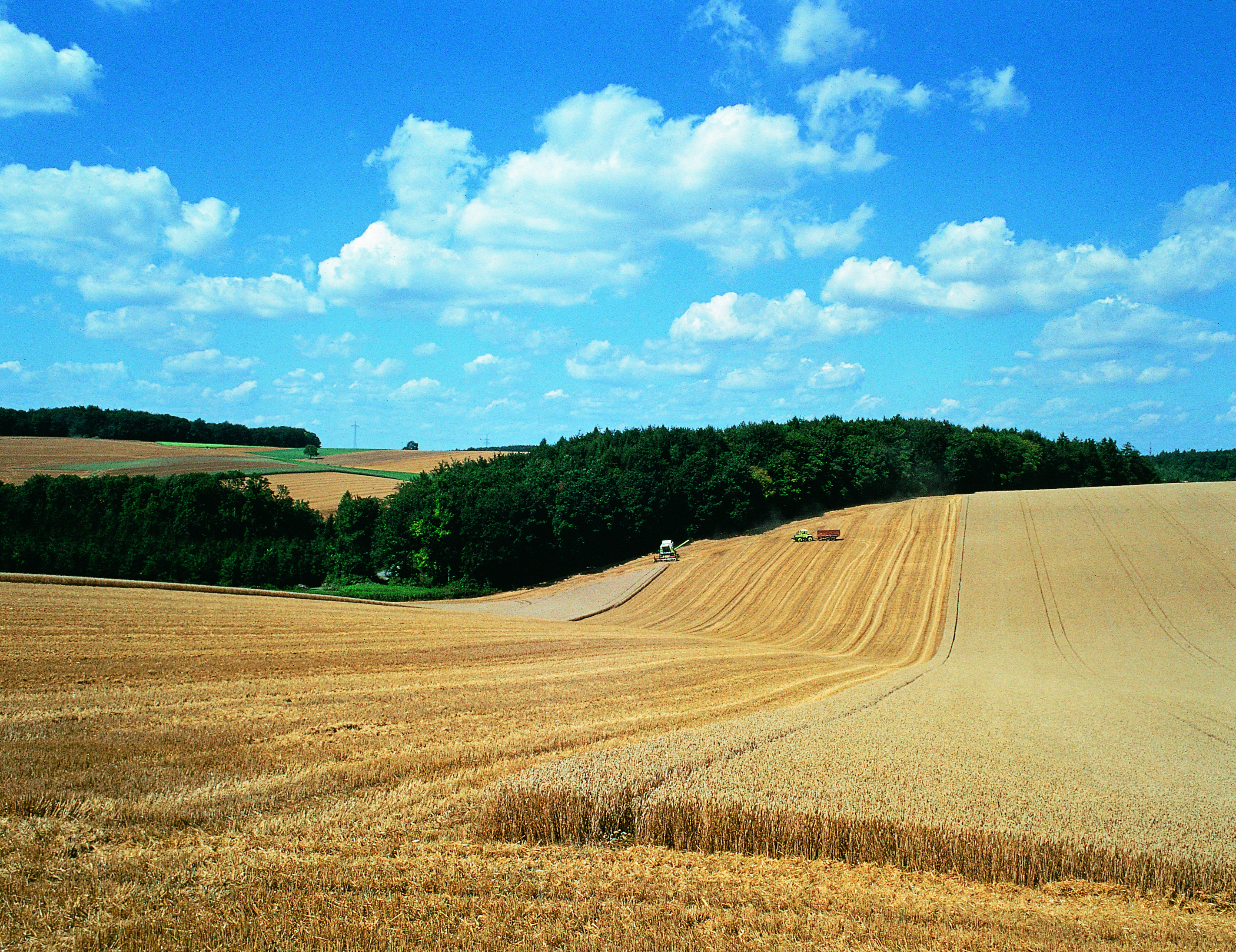 55 % der Ackerfläche wird 2014 zum Anbau von Getreide genutzt ...