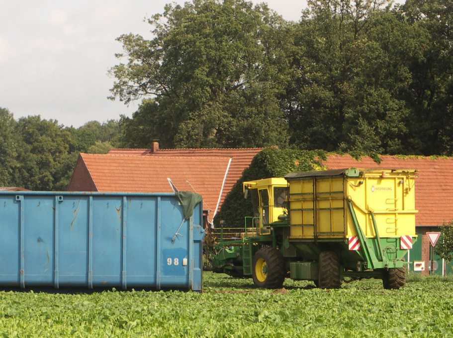 Spinat: Popeyes Wundergemüse | Industrieverband Agrar