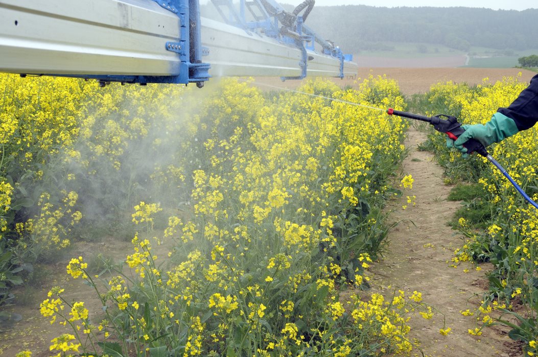Phytobac für sauberes Wasser: Mikroorganismen reinigen ...