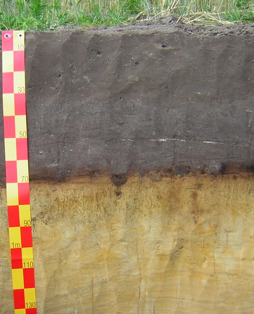 Boden des Jahres 2013: Der Plaggenesch | Industrieverband Agrar