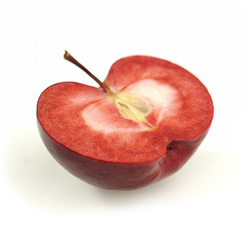 Smart-Breeding – ein neues Züchtungsverfahren zwischen Gentechnik und ...