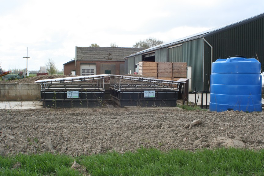 Phytobac für sauberes Wasser: Mikroorganismen reinigen ...