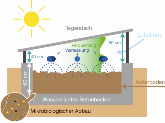 Phytobac für sauberes Wasser: Mikroorganismen reinigen ...
