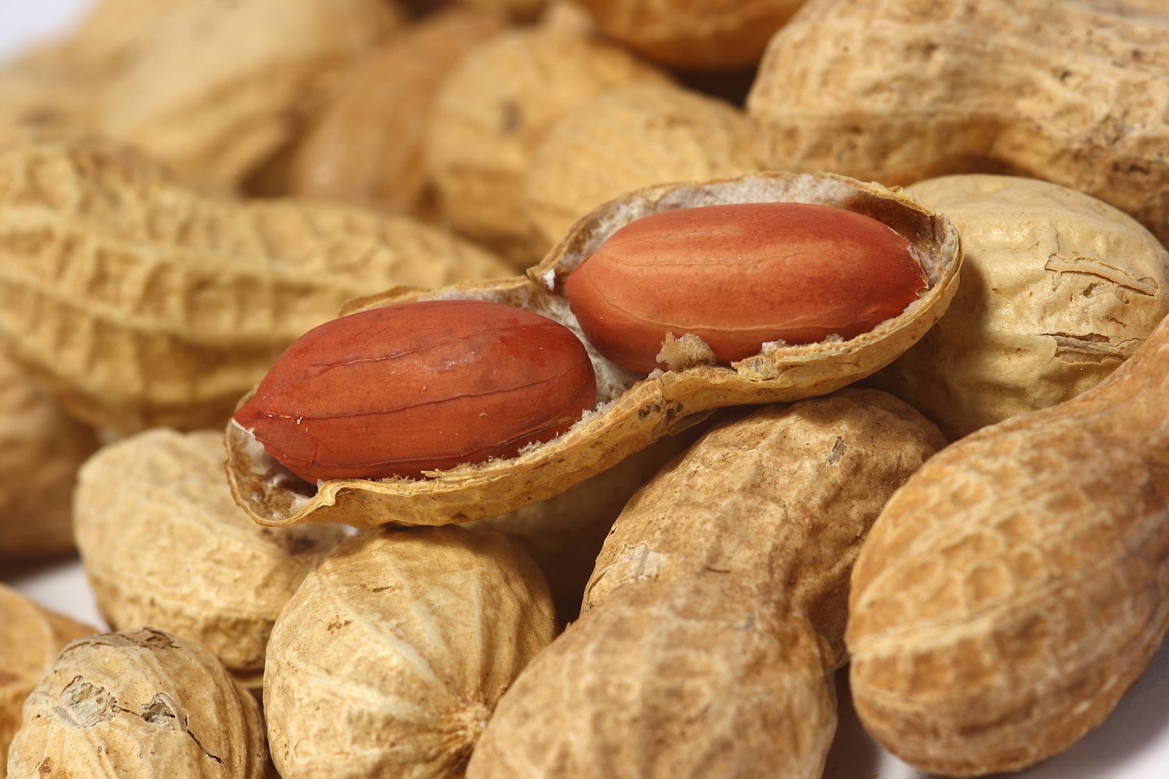 Erdnuss: Da steckt was drin | Industrieverband Agrar